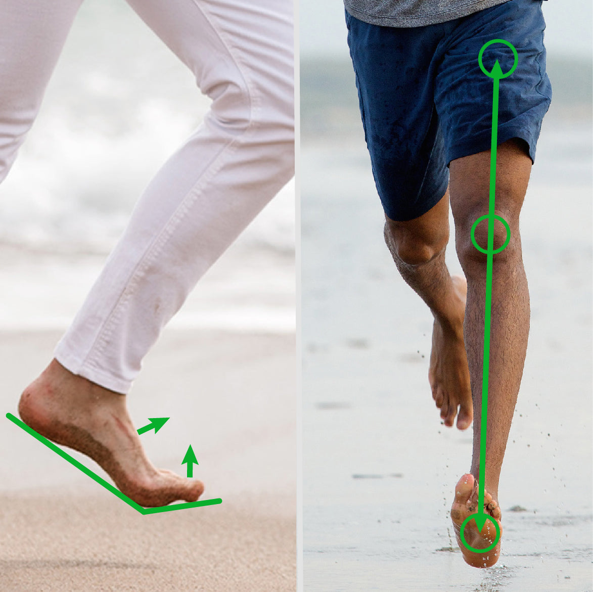 The Science Behind the Biopods Technologies - Biopods®